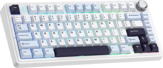 Aula F75 Pro Hot-swap 80 Keys Gasket mount – KBSwitches